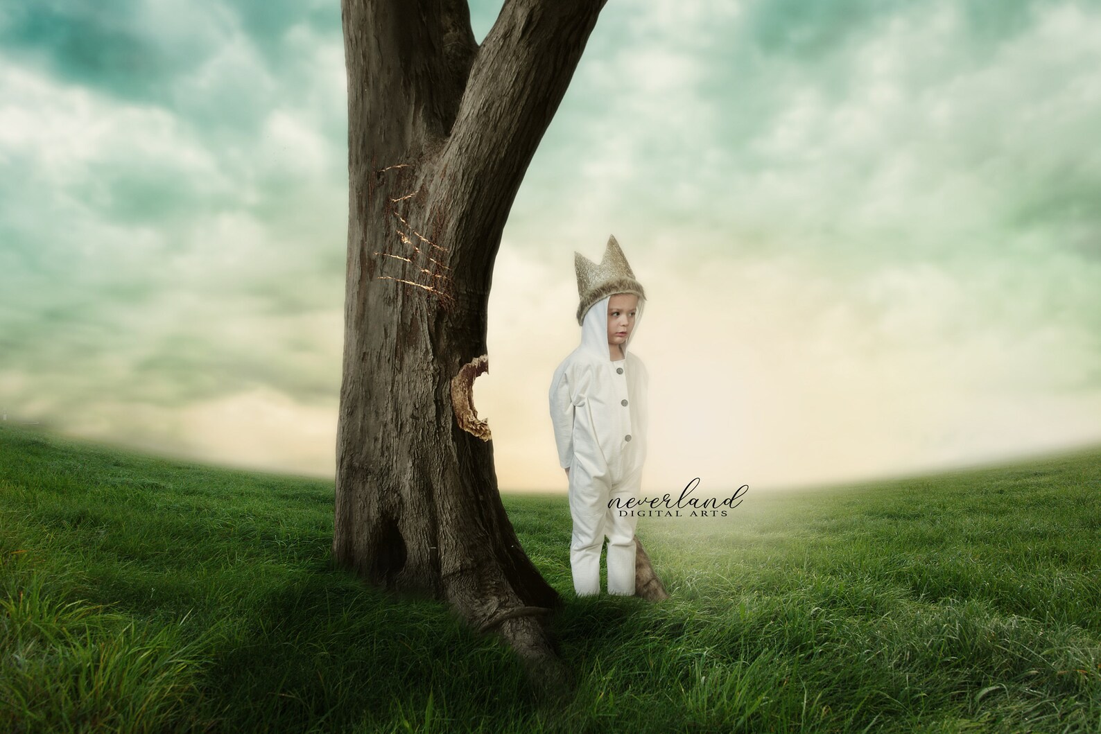 Storybook Backdrop Background / Digital Photography Background - Etsy