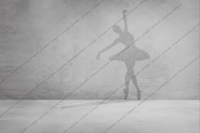 5-PACK Dancing Shadows Background for Photographers / Instant - Etsy