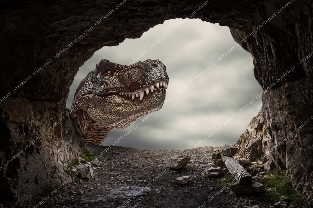 3 PACK Dinosaur Backdrop Background / Trex Tyrannosaurus Rex Download ...