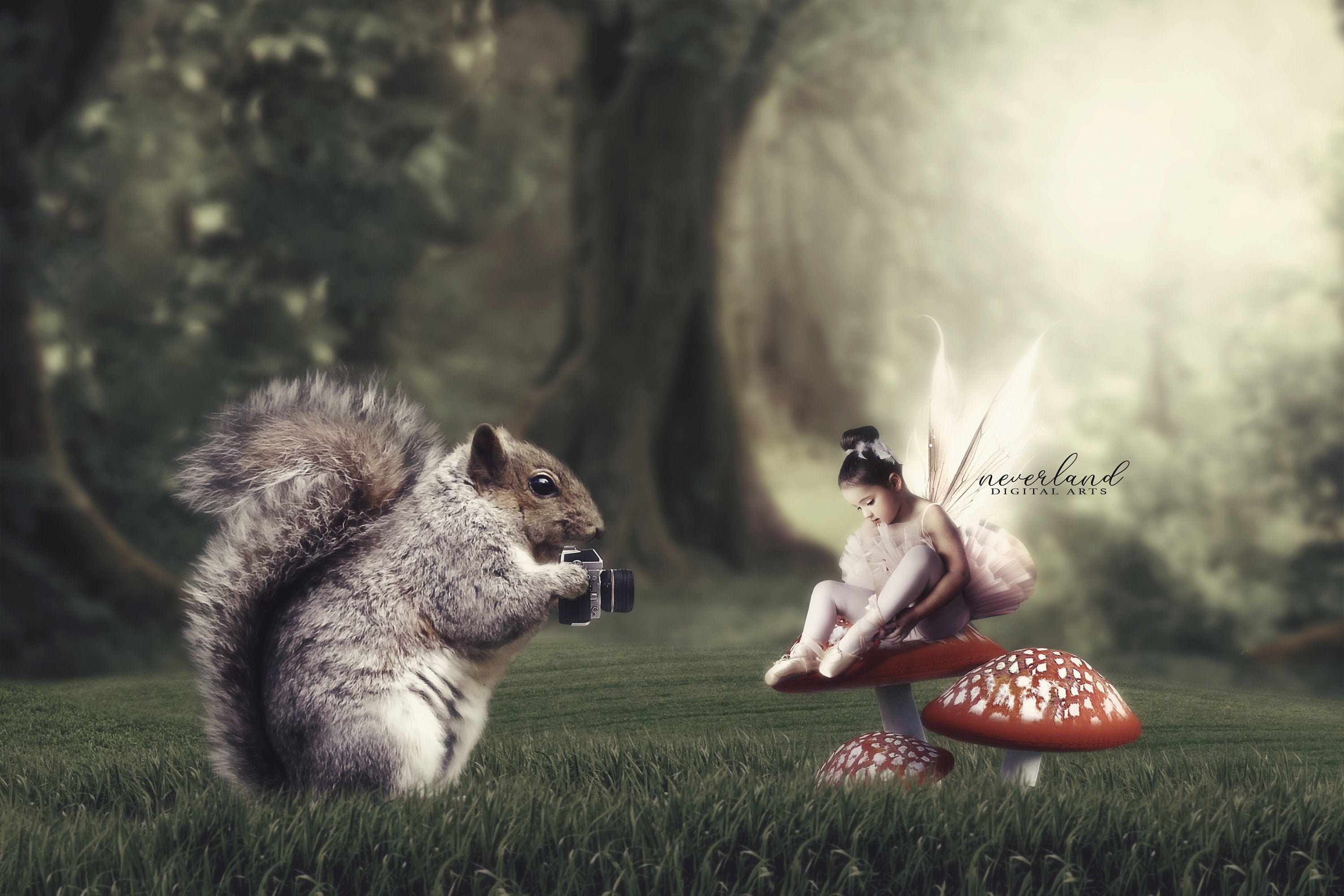 2 PACK Photographer Squirrel Digital Background for - Etsy