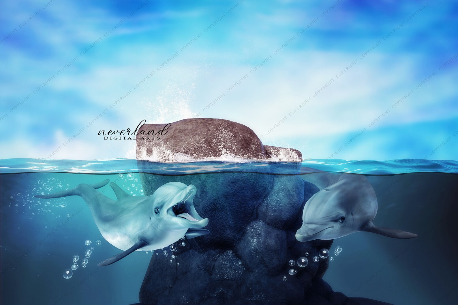 Dolphin Rock Digital Background / for Photographers / for Photoshop ...