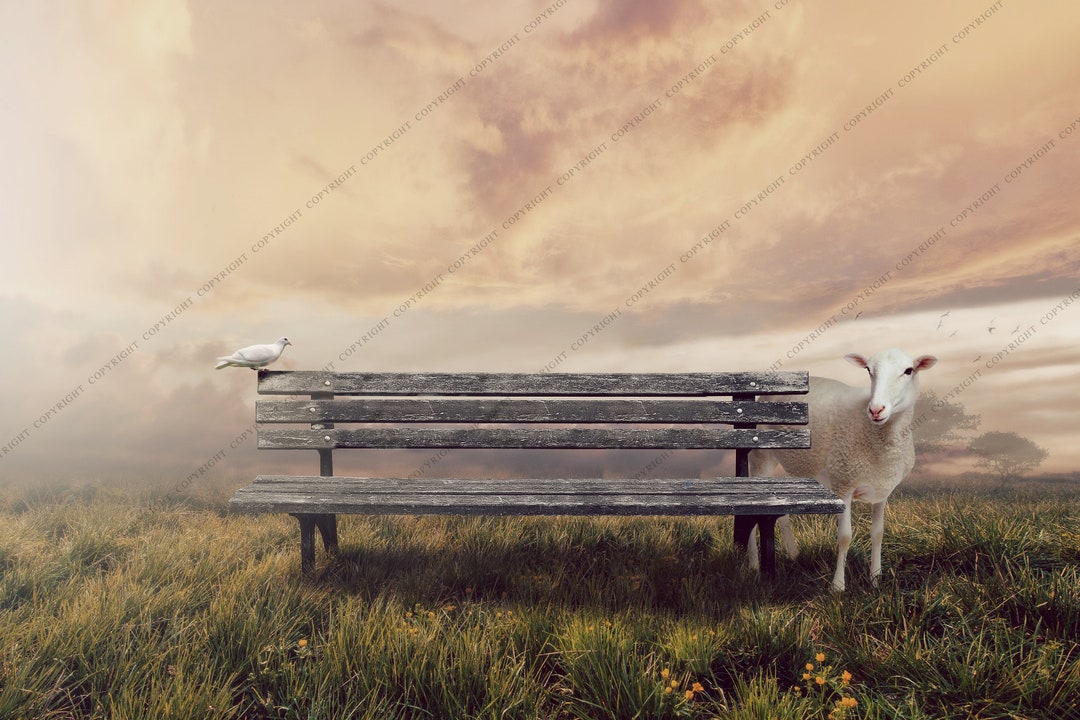 Easter Lamb & Bench Background / Photography Background / Digital ...
