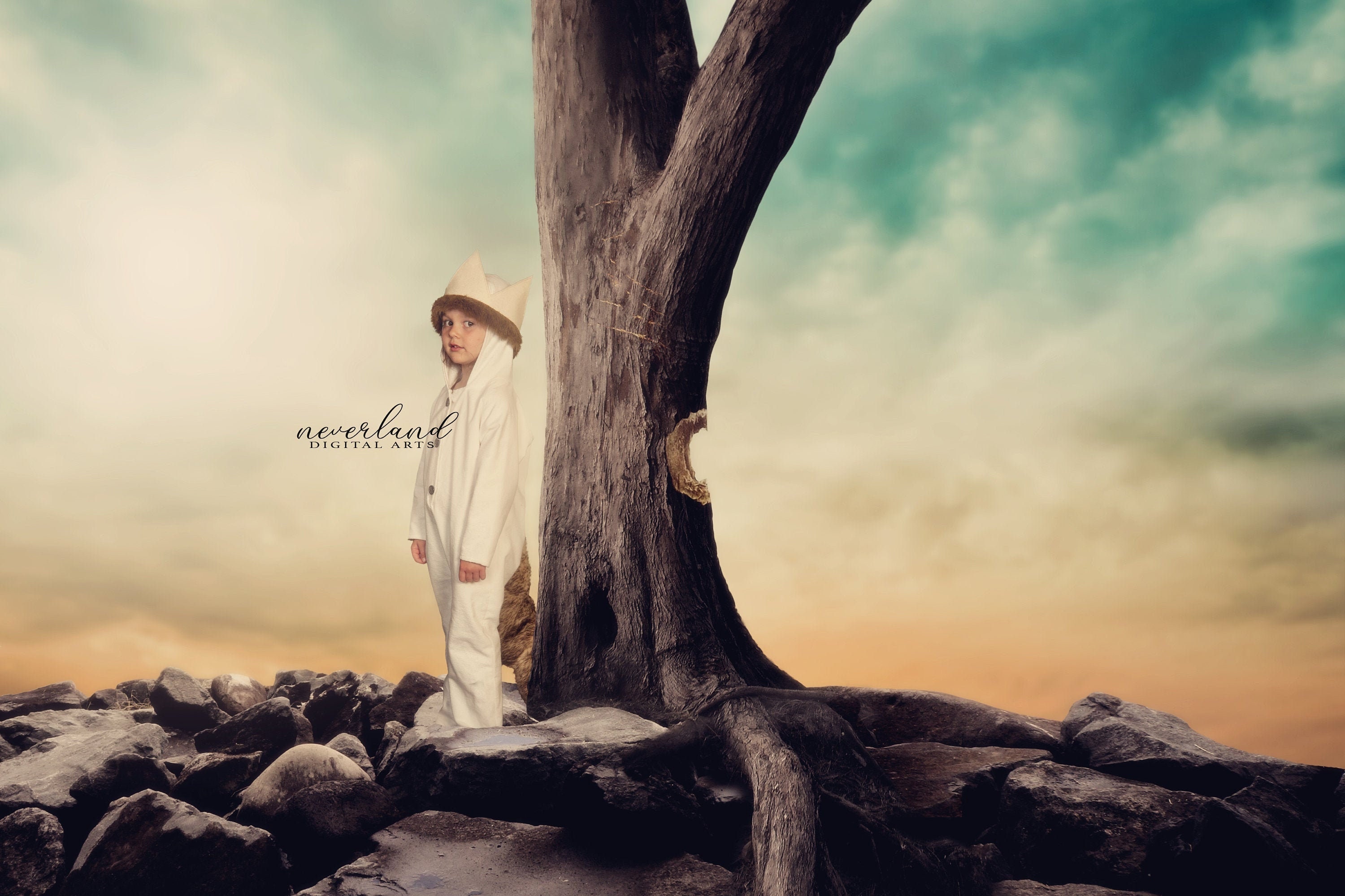 Story Book Backdrop Background / Digital Photography Background ...