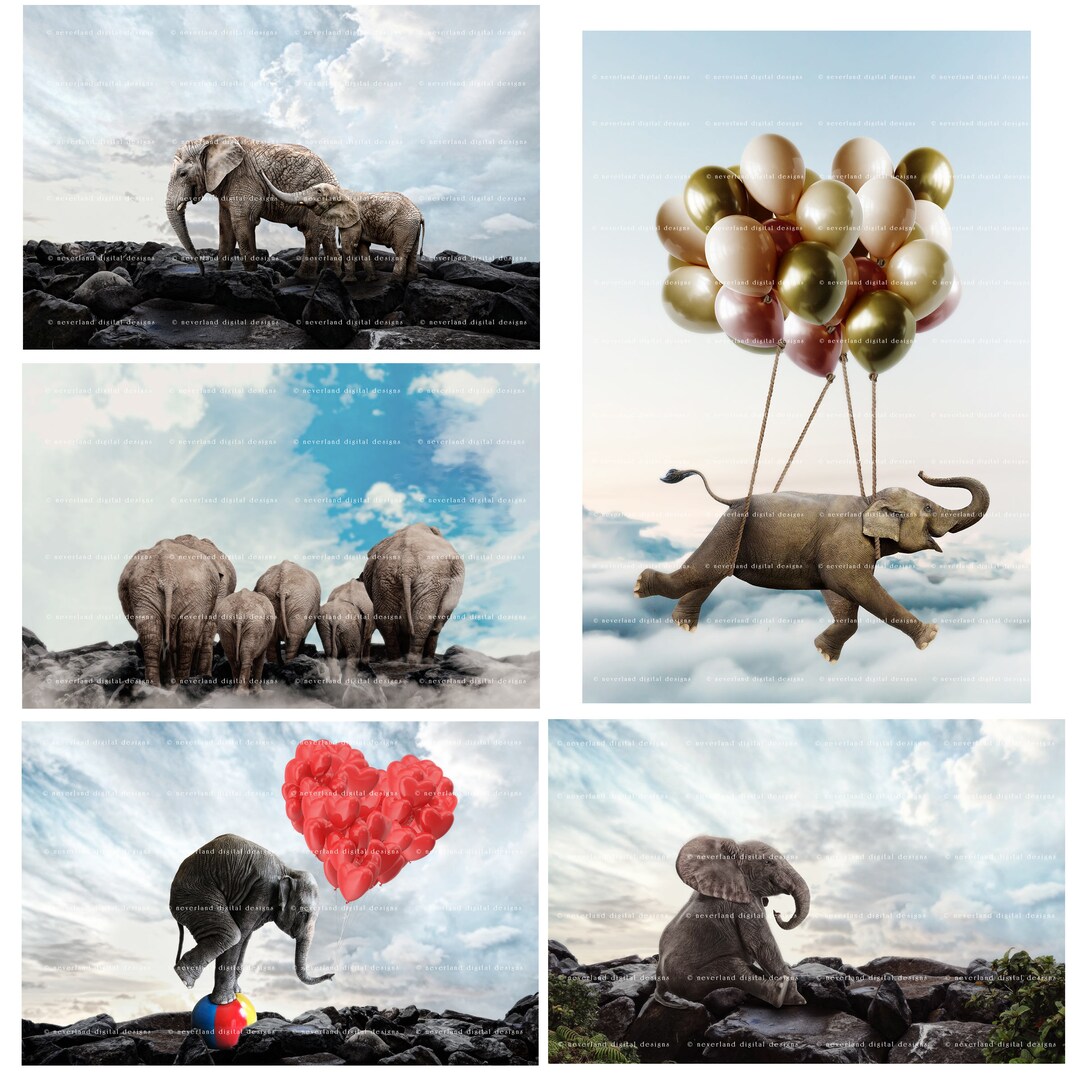 Elephant Backdrop Background / 5 Pack / Digital Background / Fantasy ...