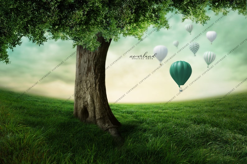 2 PACK Composite Digital Background / Backgrounds & Overlays - Etsy