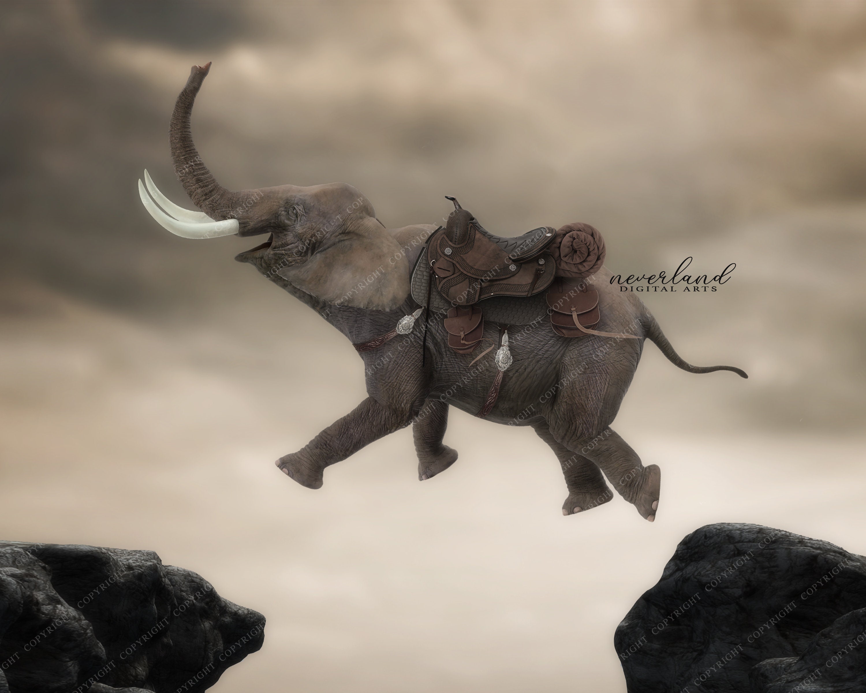 Elephant Jumping