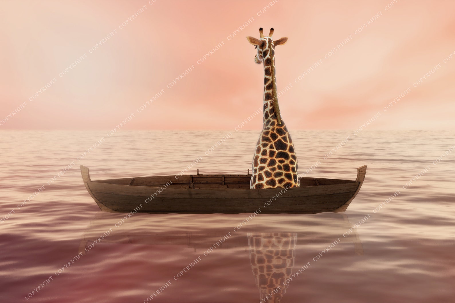 Giraffe in a Boat at Sunrise Digital Background for - Etsy