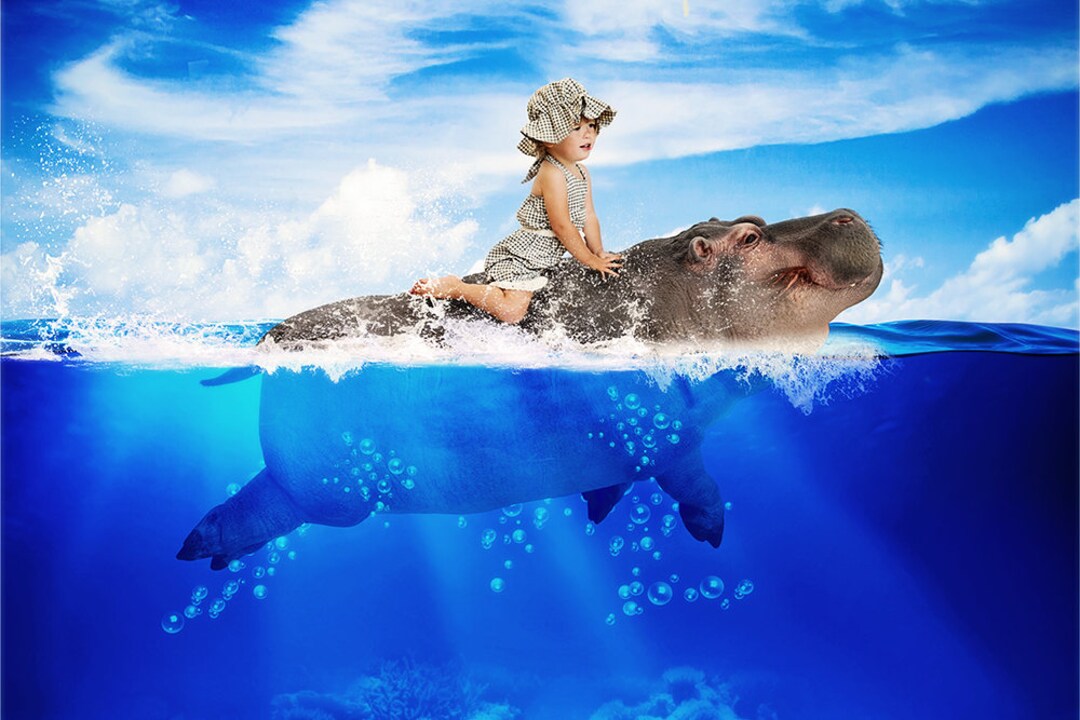 Hippo Backdrop Background / Digital Background / Fantasy Backdrop ...
