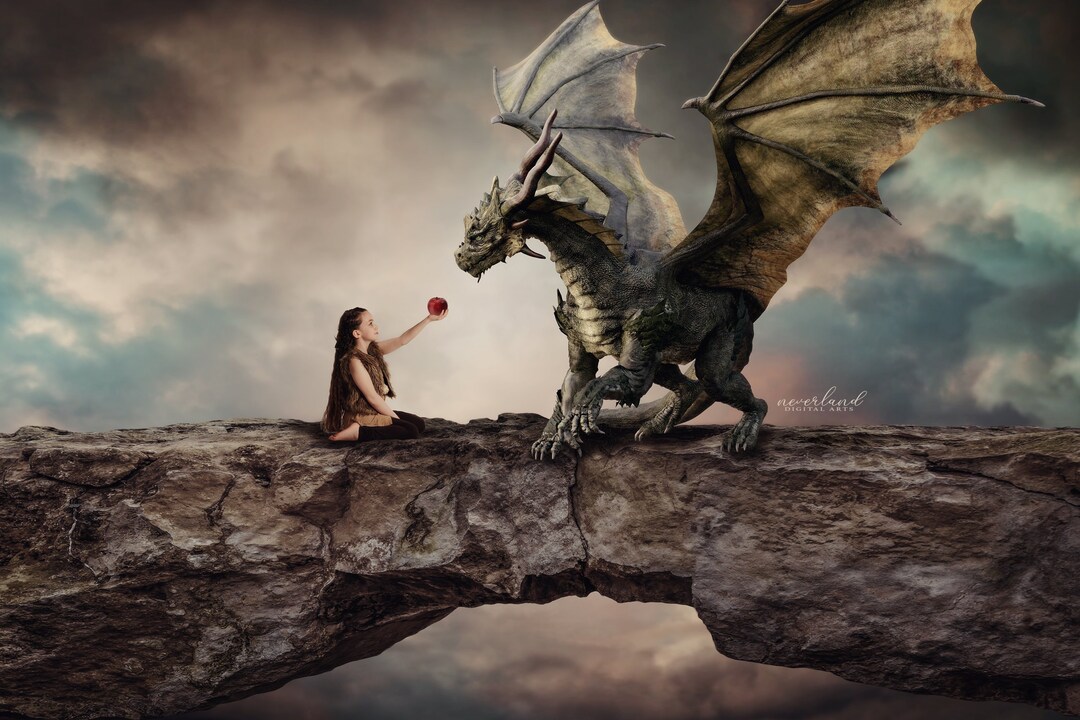 Dragons Bridge Background for Photographers / Dragon Backdrop Instant ...