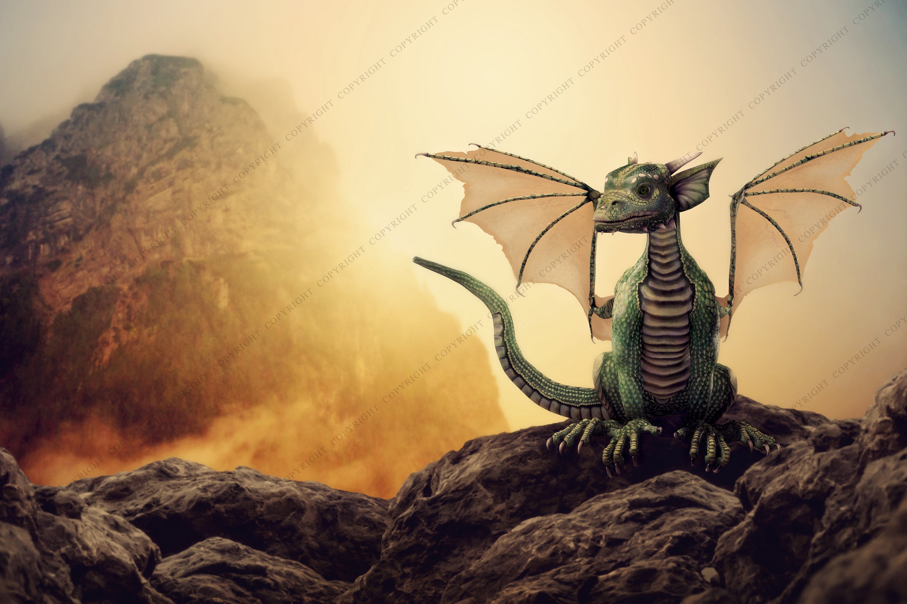 Dragon's Ledge Background for Photographers / Dragon Background Instant ...