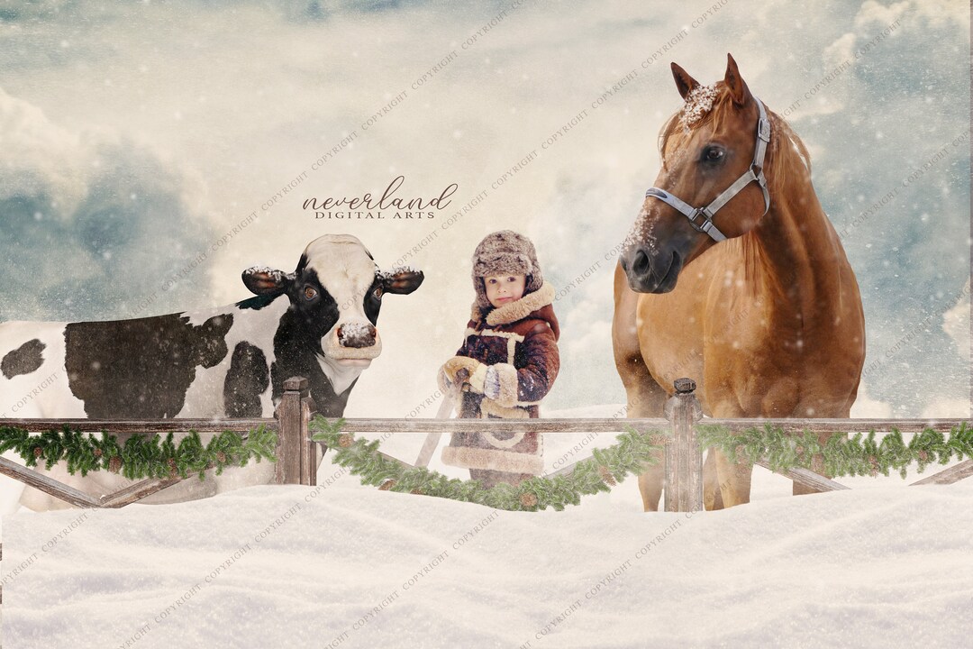 Farm Christmas Background for Photographers / Christmas Background for ...