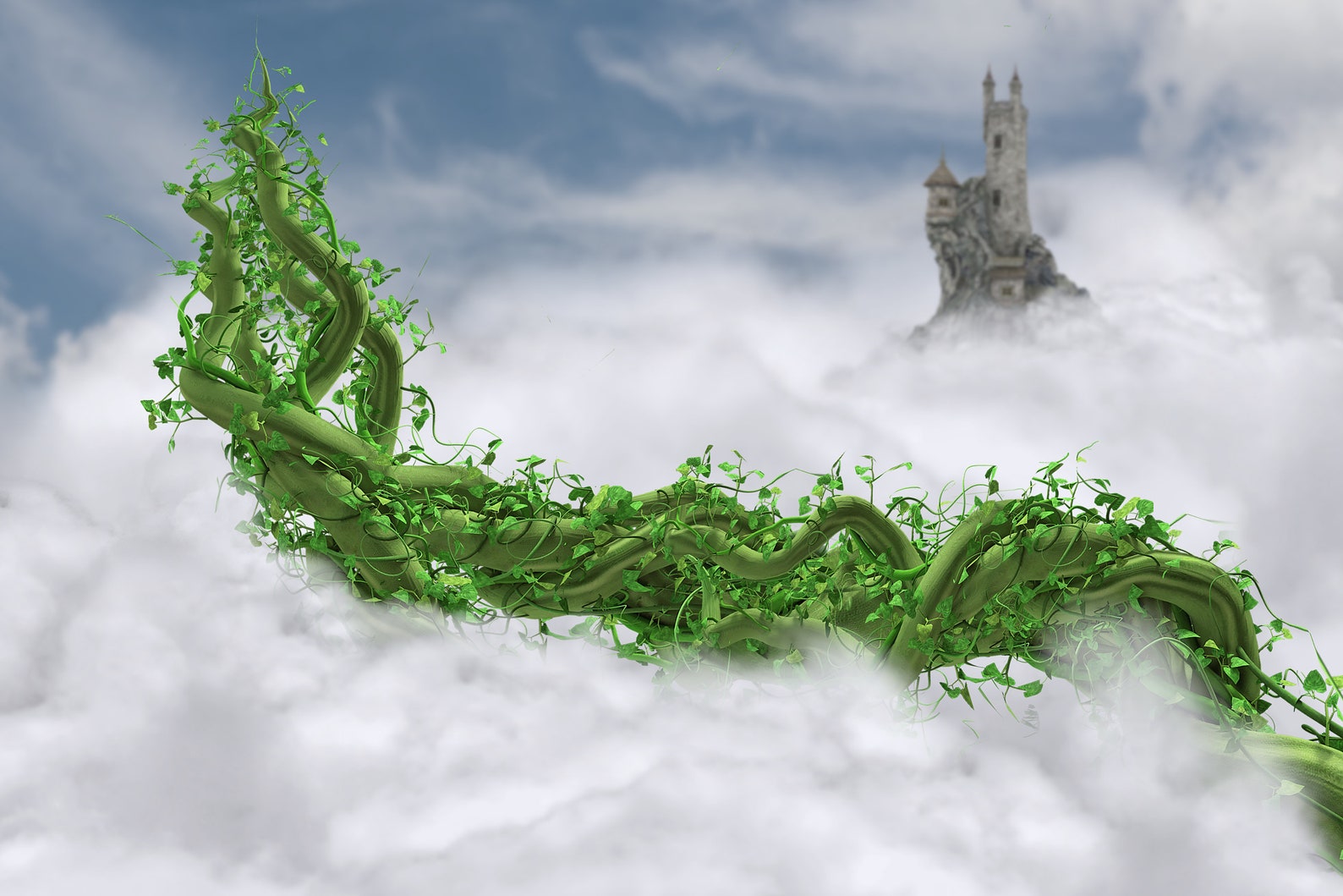 Jacks Beanstalk Digital Background for Photography - Etsy