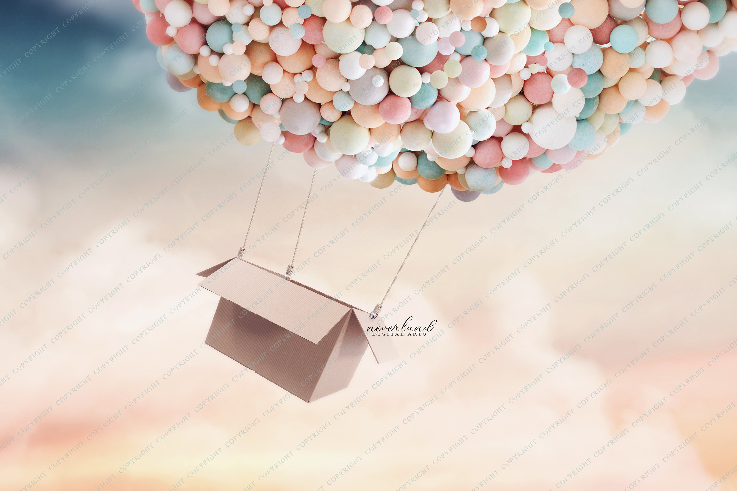 Up and Away Balloons Digital Background for Photography Valentine ...