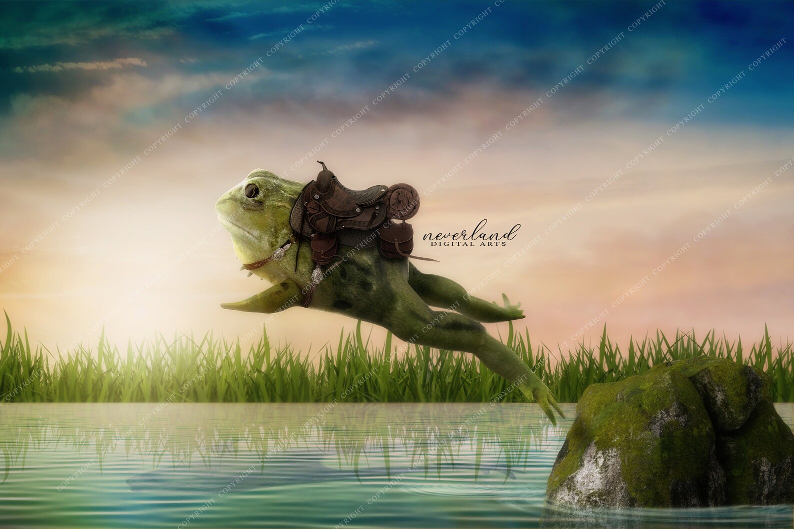 Saddle on A Frog Background / Digital Backdrop for | Etsy