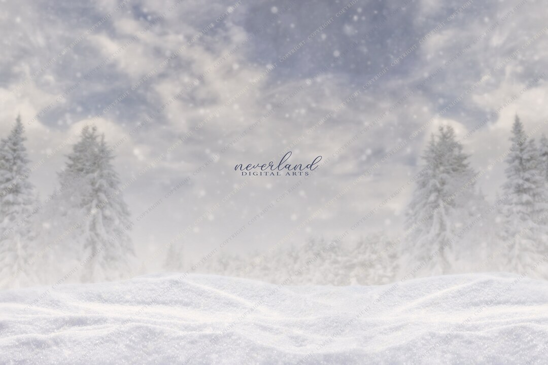 Winter Scene Composite Background for Photography / Christmas Backdrop ...