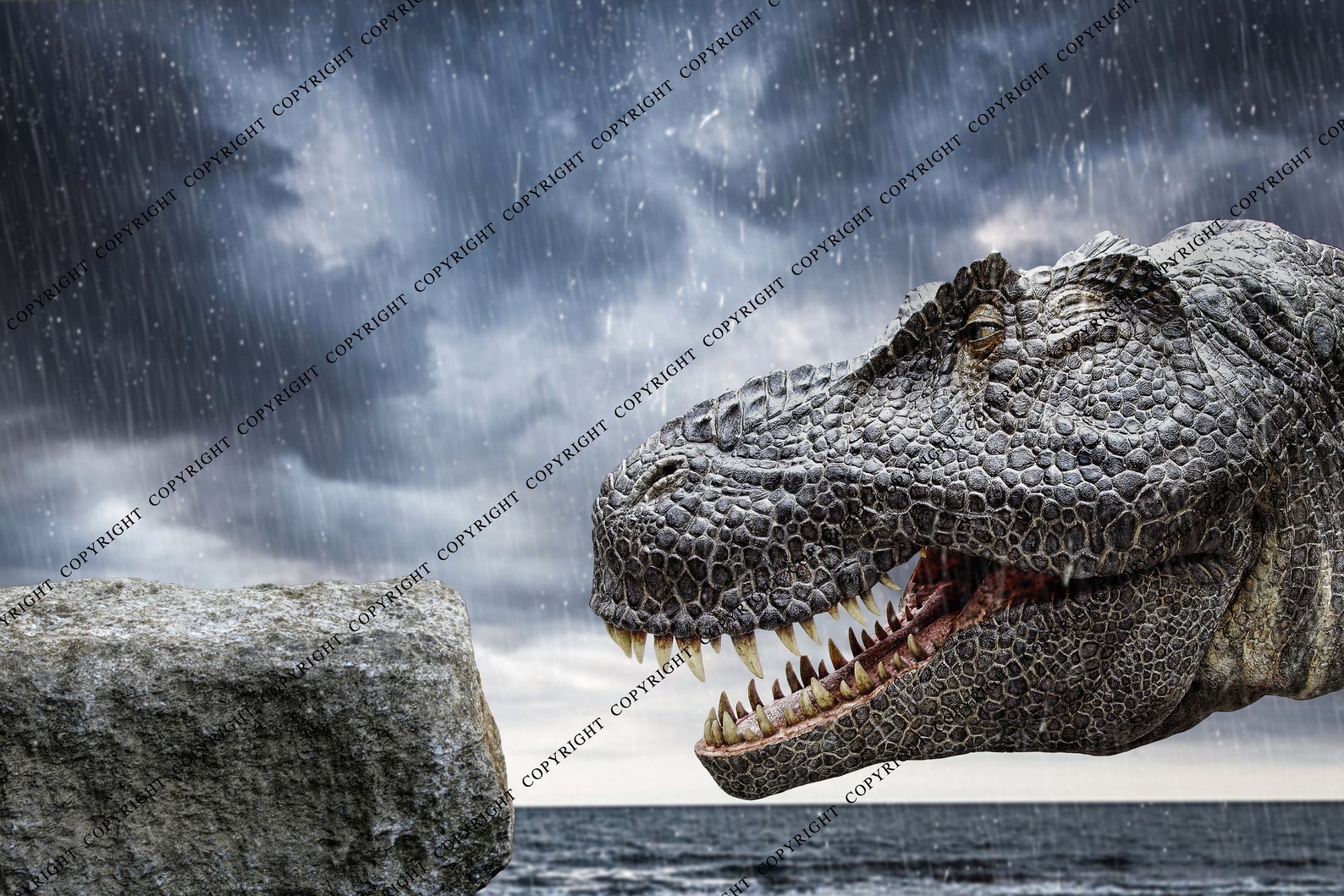 5 PACK Trex Tyrannosaurus Rex Dinosaur Background / Dinosaur | Etsy