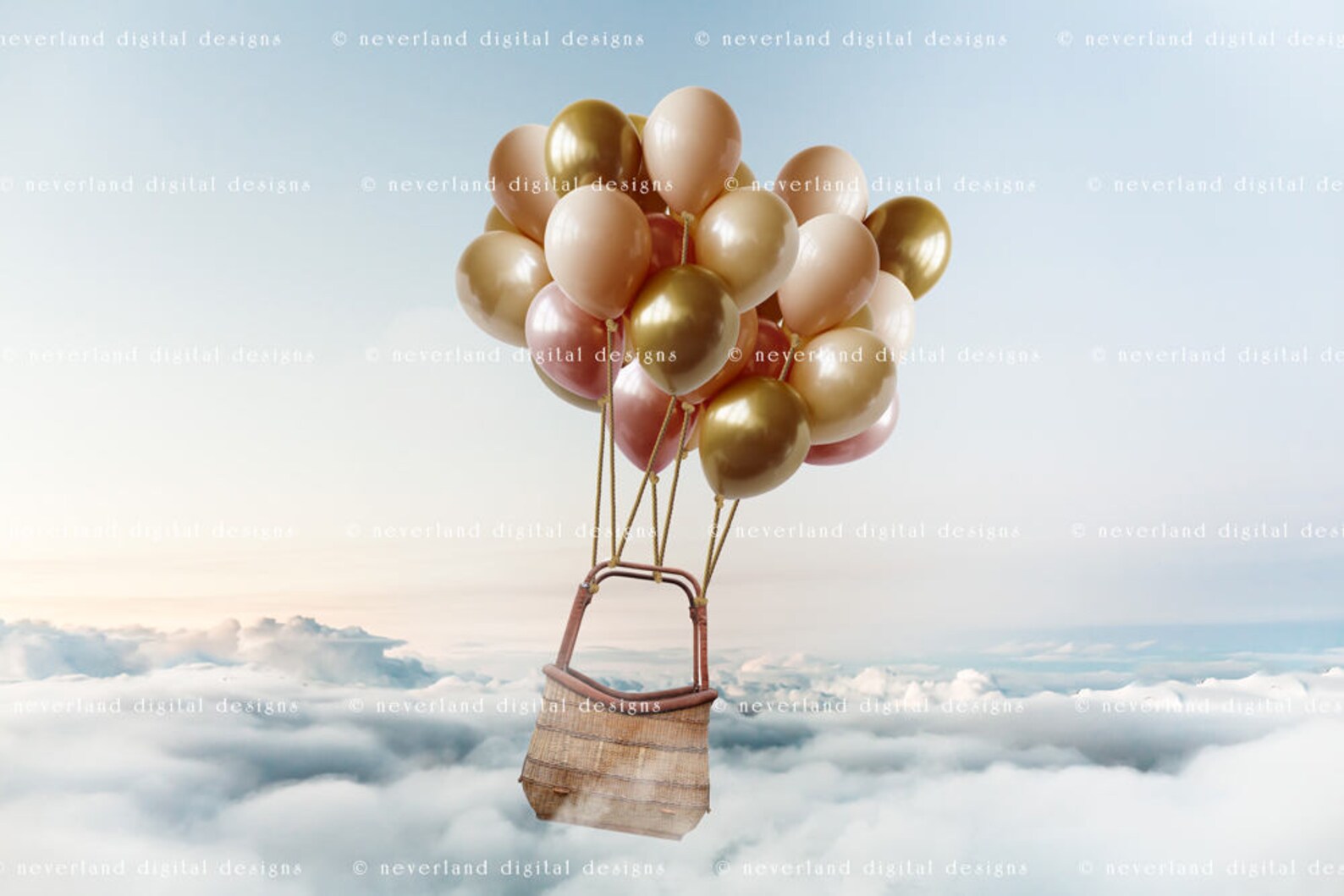 Hot Air Balloon Background Backdrop / Digital Photography / - Etsy
