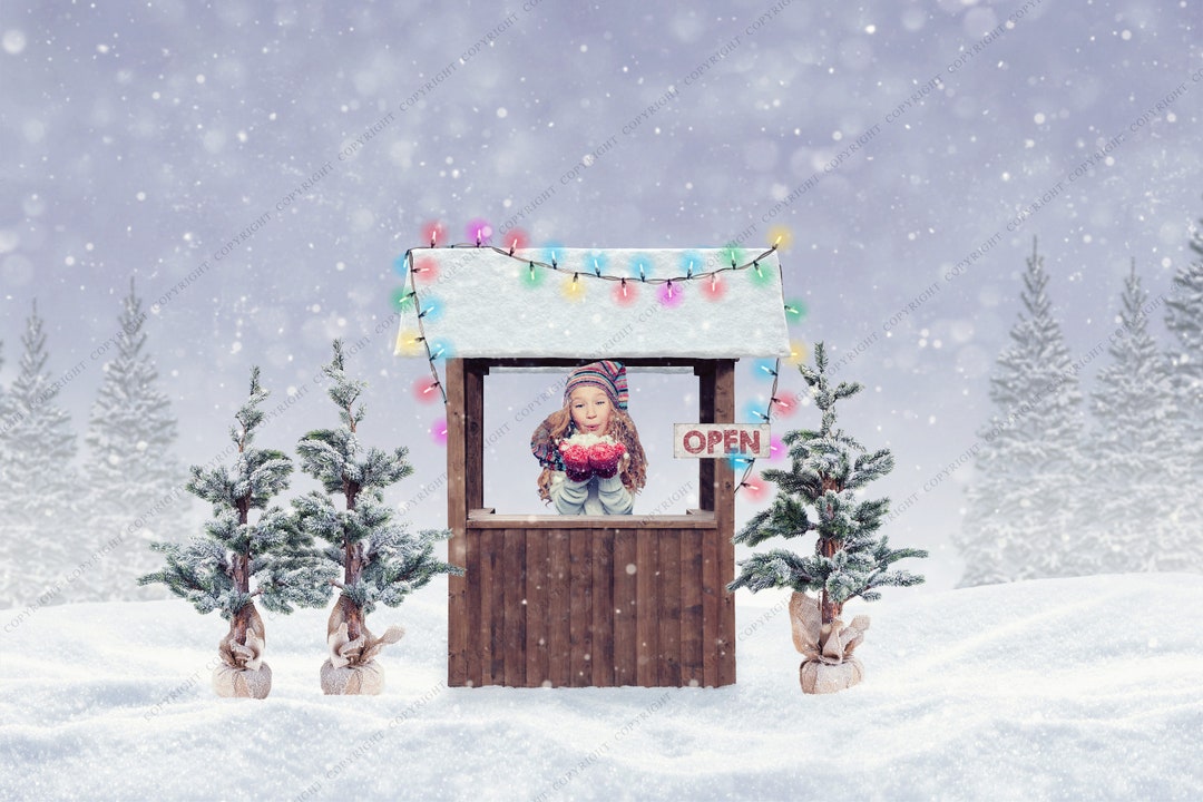 Tree Market Place / Winter Background for Photographers / Christmas ...