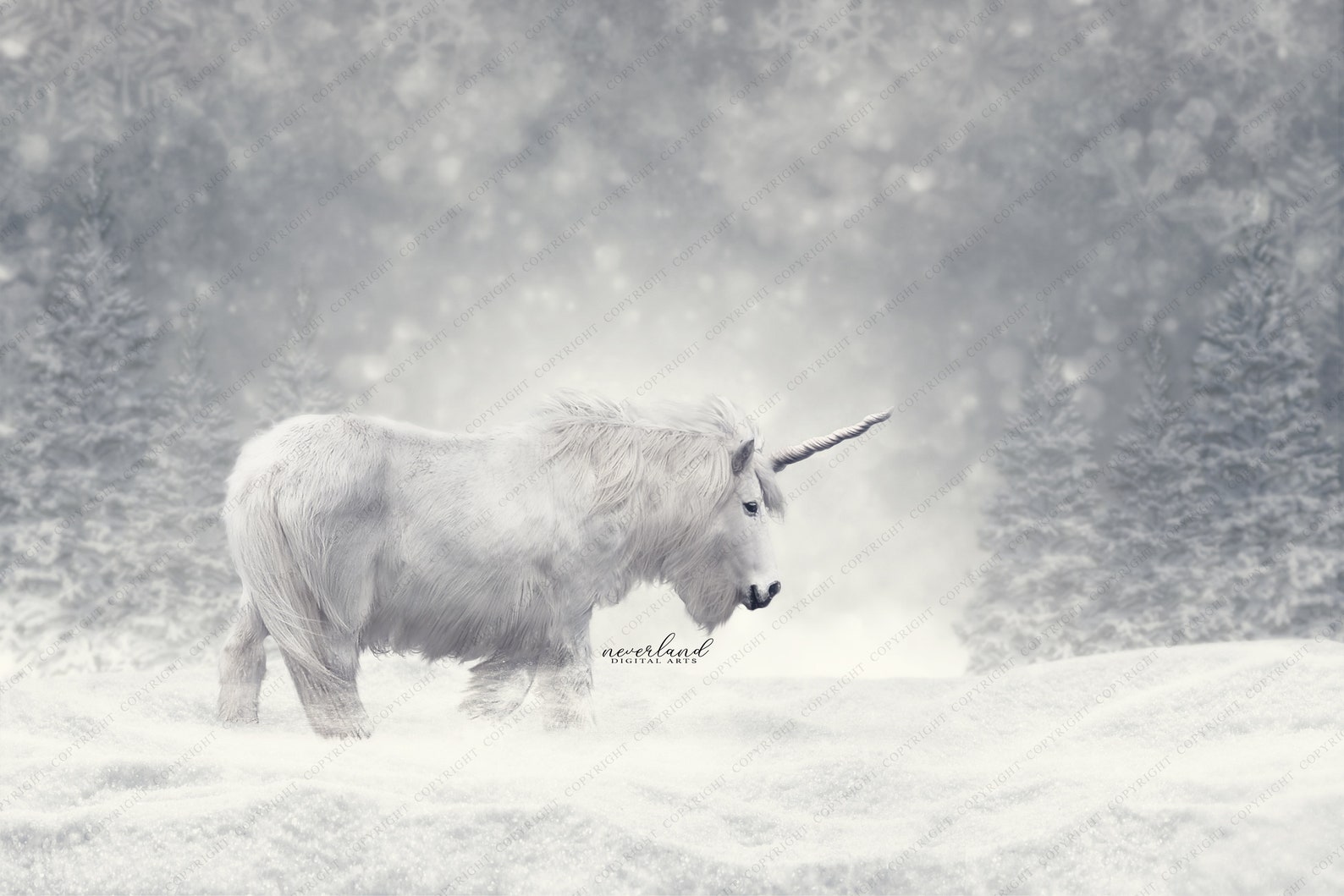 3 PACK Young Unicorn in Winter Background for Photography - Etsy Canada