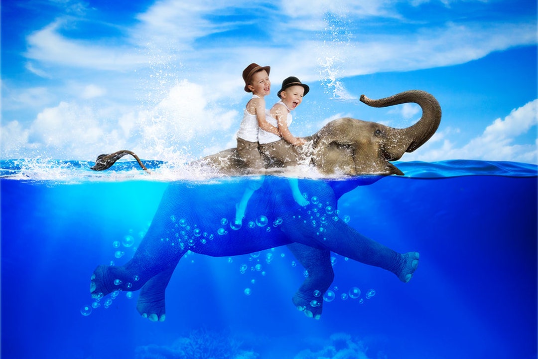 Elephant Backdrop Background / 5 Pack Digital Background / Fantasy ...