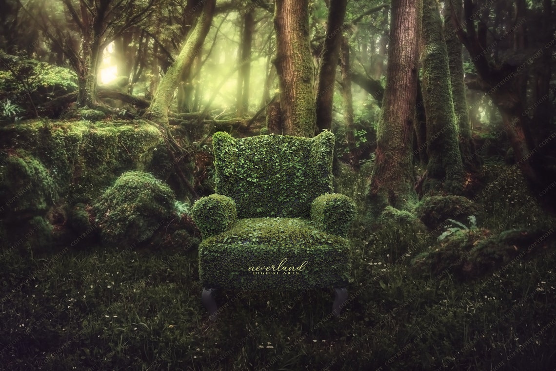 Mossy Chair in the Forest Background for Composites / Photography ...