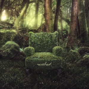 Mossy Chair in the Forest Background for Composites / Photography ...