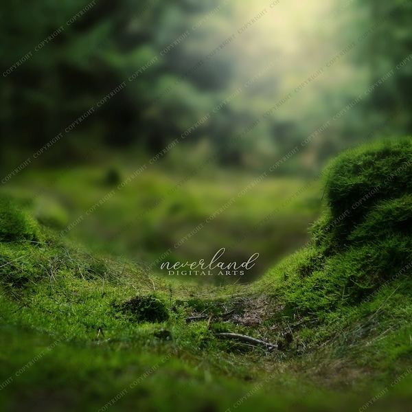 Forest Backdrop - Etsy