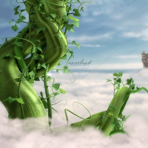 Jacks Beanstalk Digital Background for Photography Compositions ...