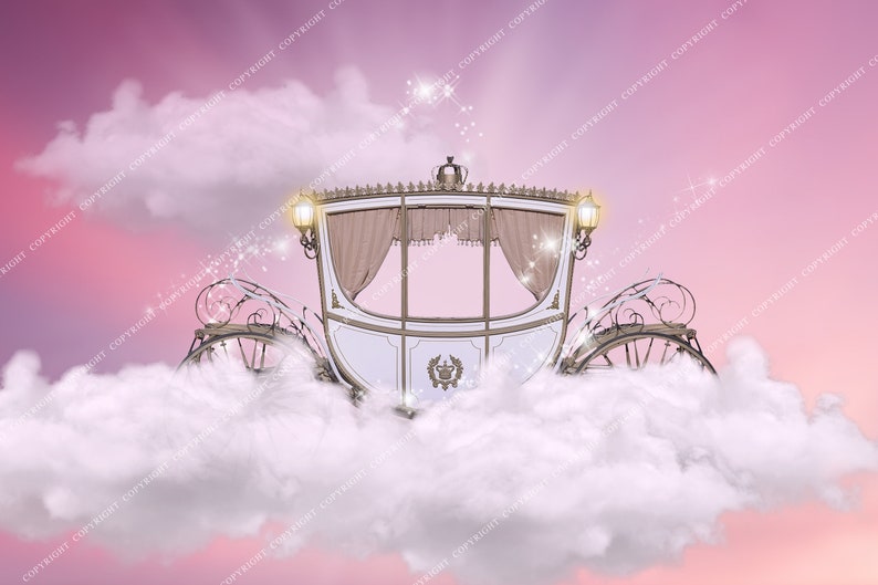 Princess Backdrop Background for Photographers / Fairytale / - Etsy