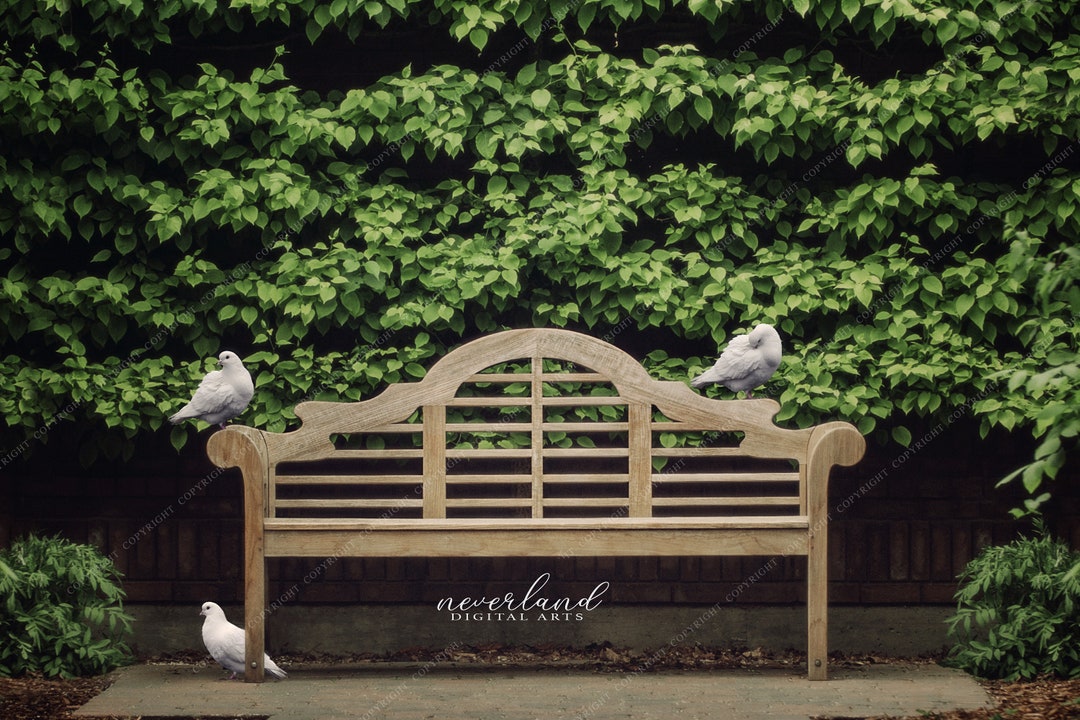 Garden Bench Background / Valentine Digital Background for ...