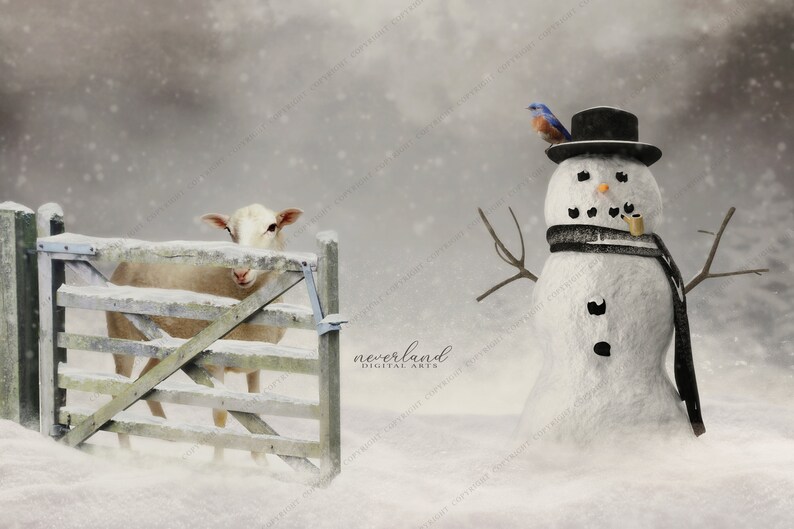 Country Christmas Background for Photographers / Sheep Background for ...