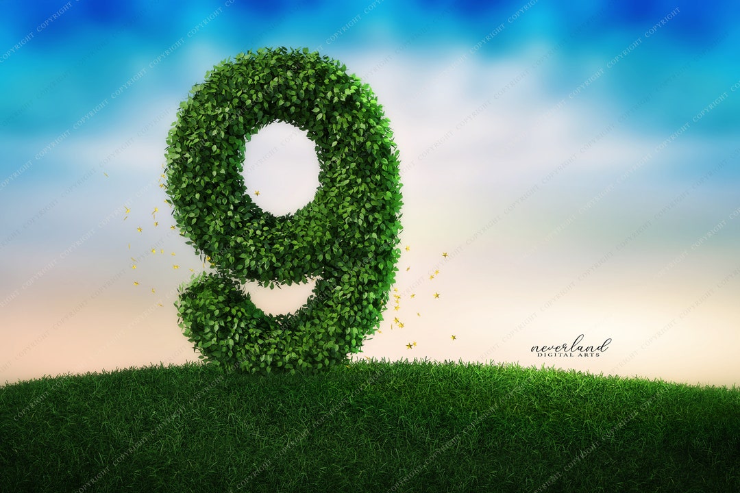 9th Birthday Background for Photography Compositions / Digital Backdrop ...