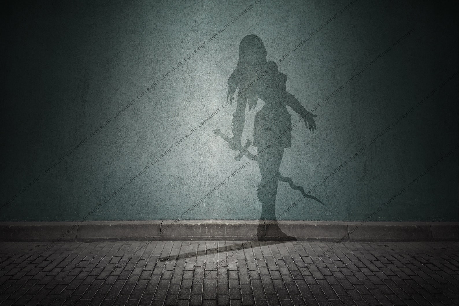 5-PACK! Girl Shadows Background for Photographers / Instant Digital ...