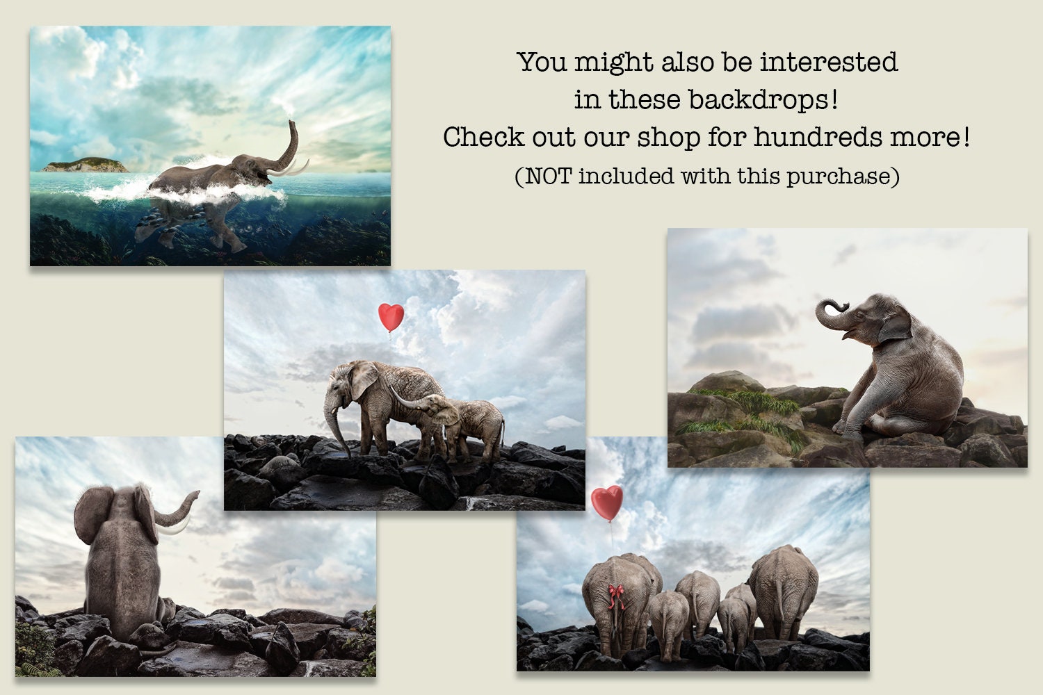 Elephant Jumping Background for Photography / Elephant Wearing A Saddle ...