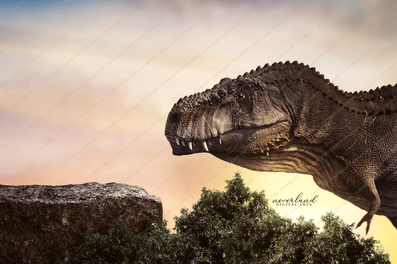 Trex Over the Tree Tops Dinosaur Background / Backdrop for - Etsy