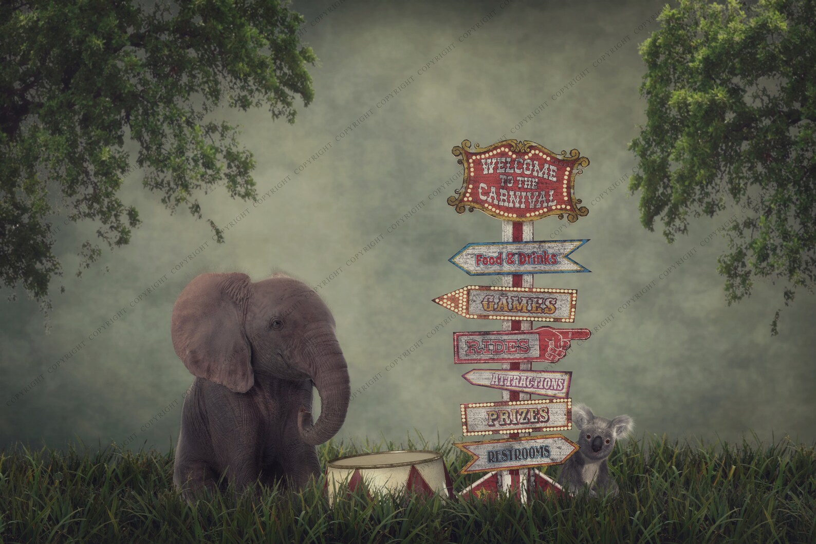 Vintage Carnival Background for Photographers / Circus Backdrop ...