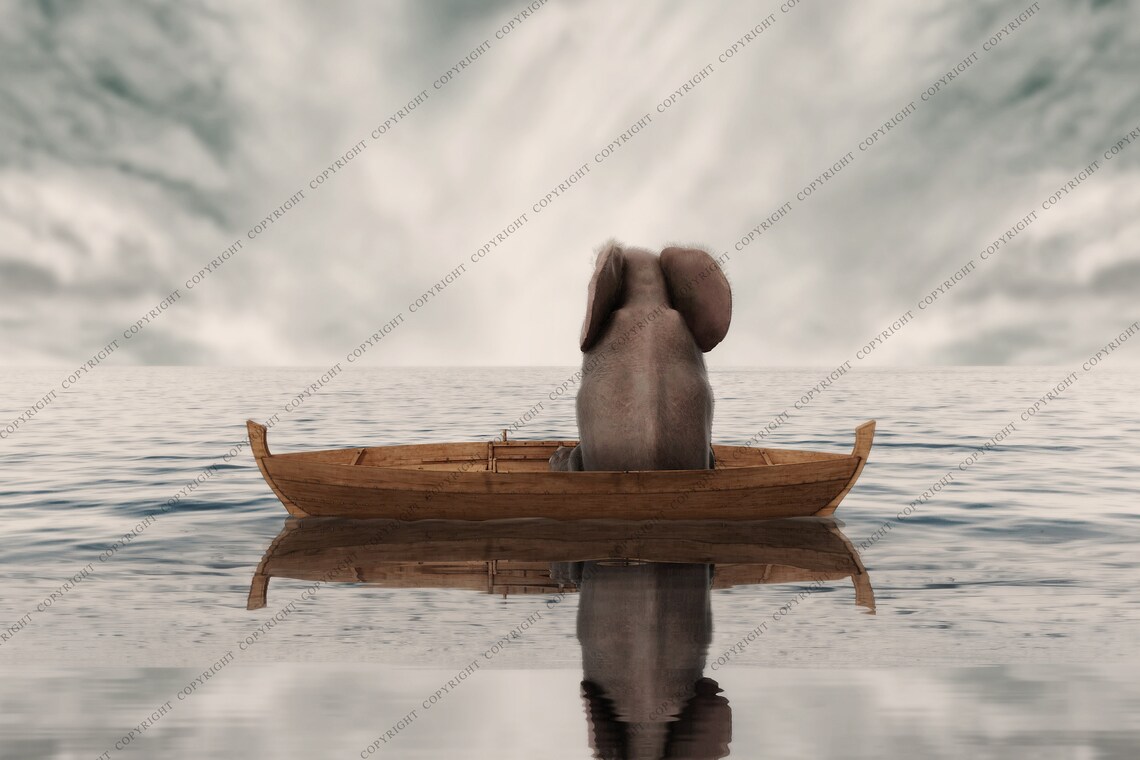 Elephant in a Boat Backdrop Background / Digital Background / - Etsy