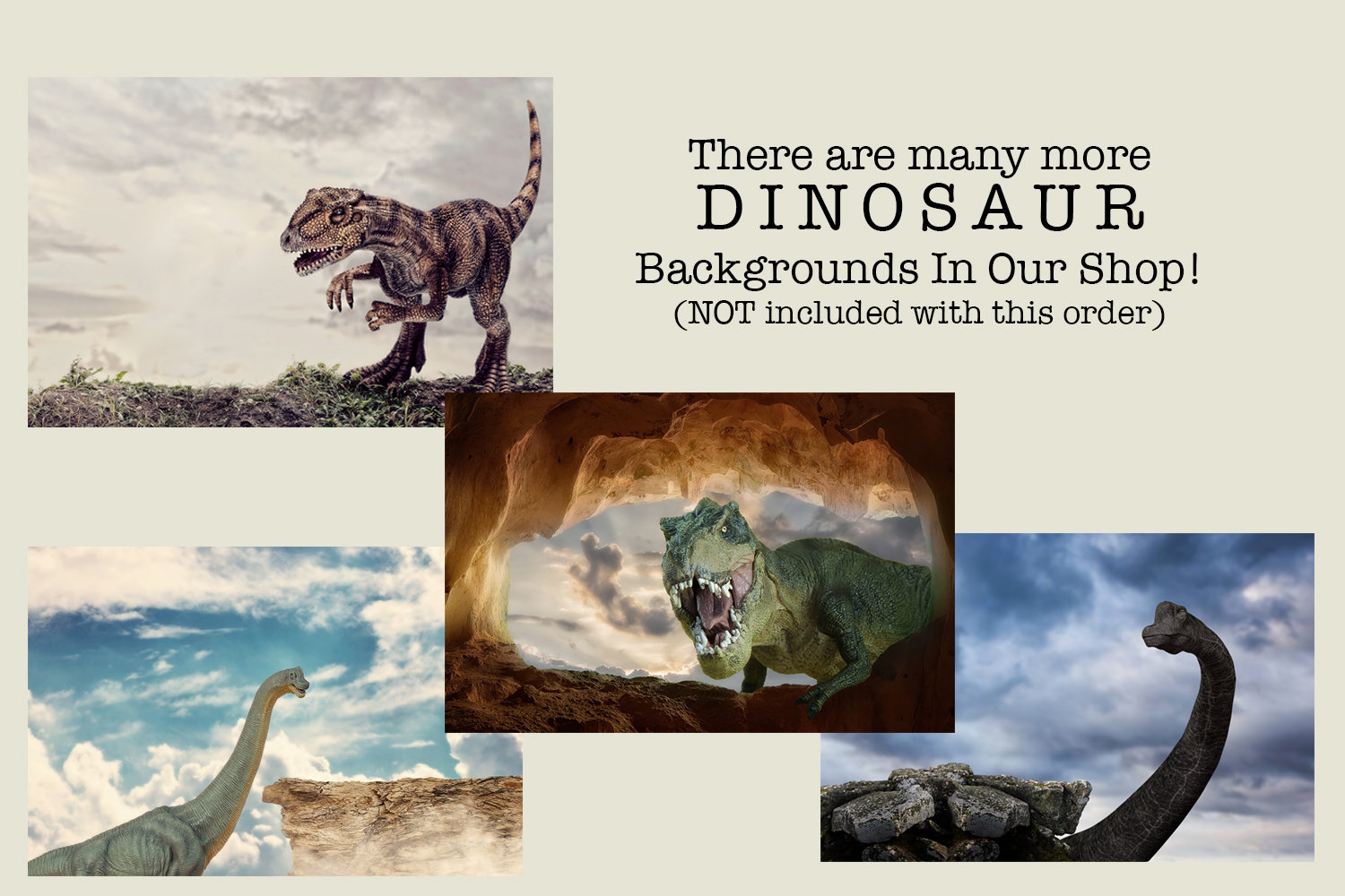 Curious Dinosaur Backdrop Background / Trex Tyrannosaurus Rex | Etsy