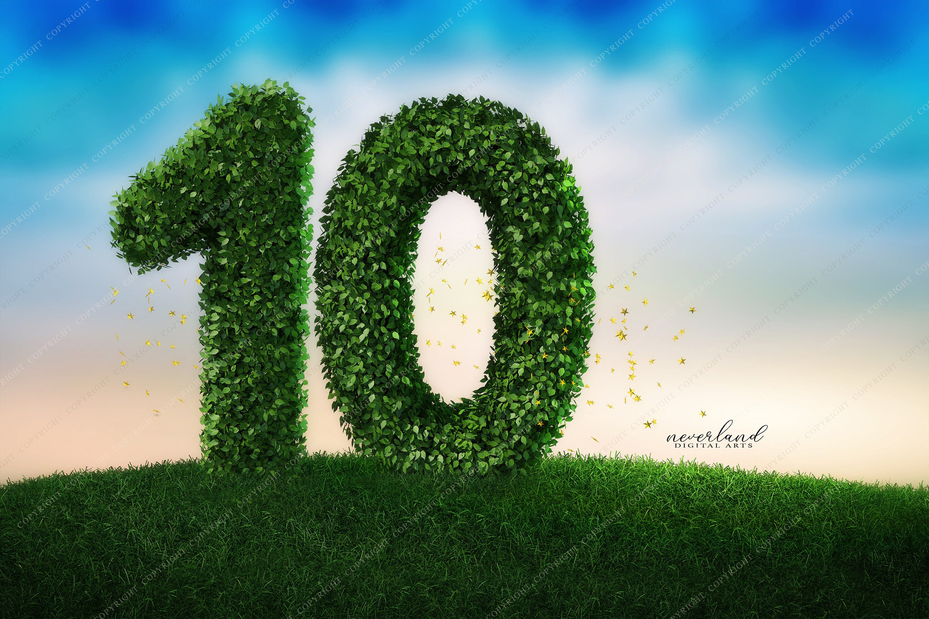 10th Birthday Background for Photography Compositions / | Etsy