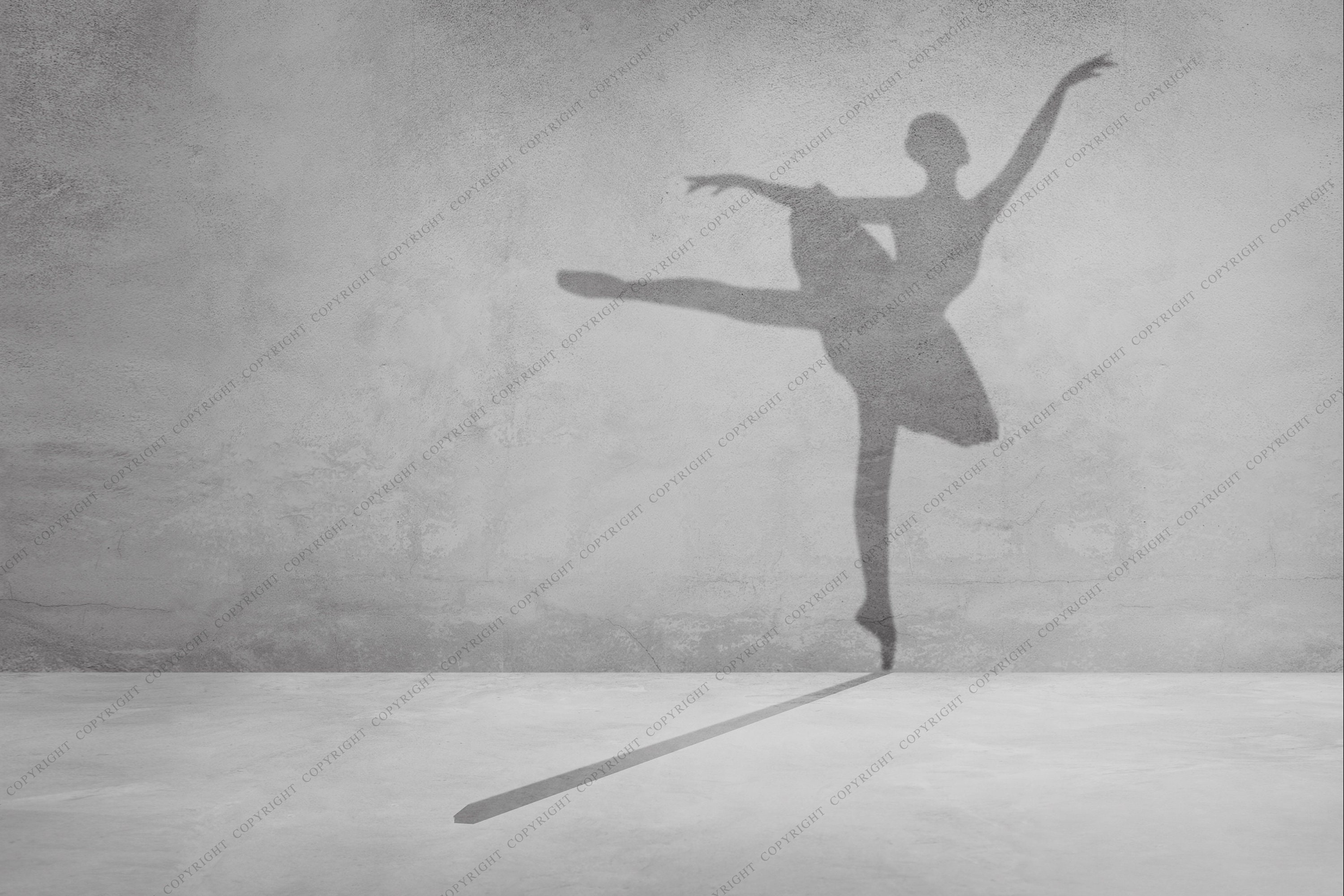 Ballerina Shadow Background for Photographers / Instant | Etsy
