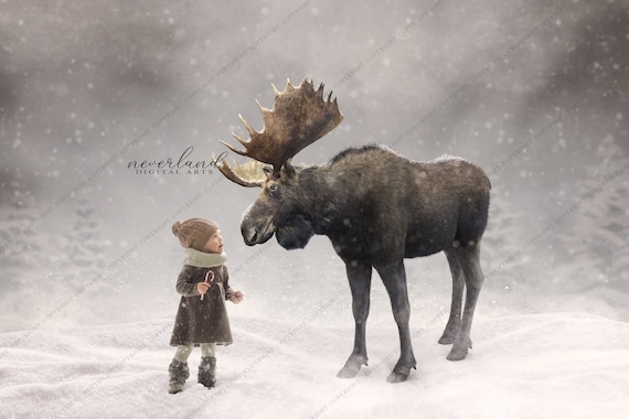 Christmas Moose Background Christmas Moose Stock Photos, Images And