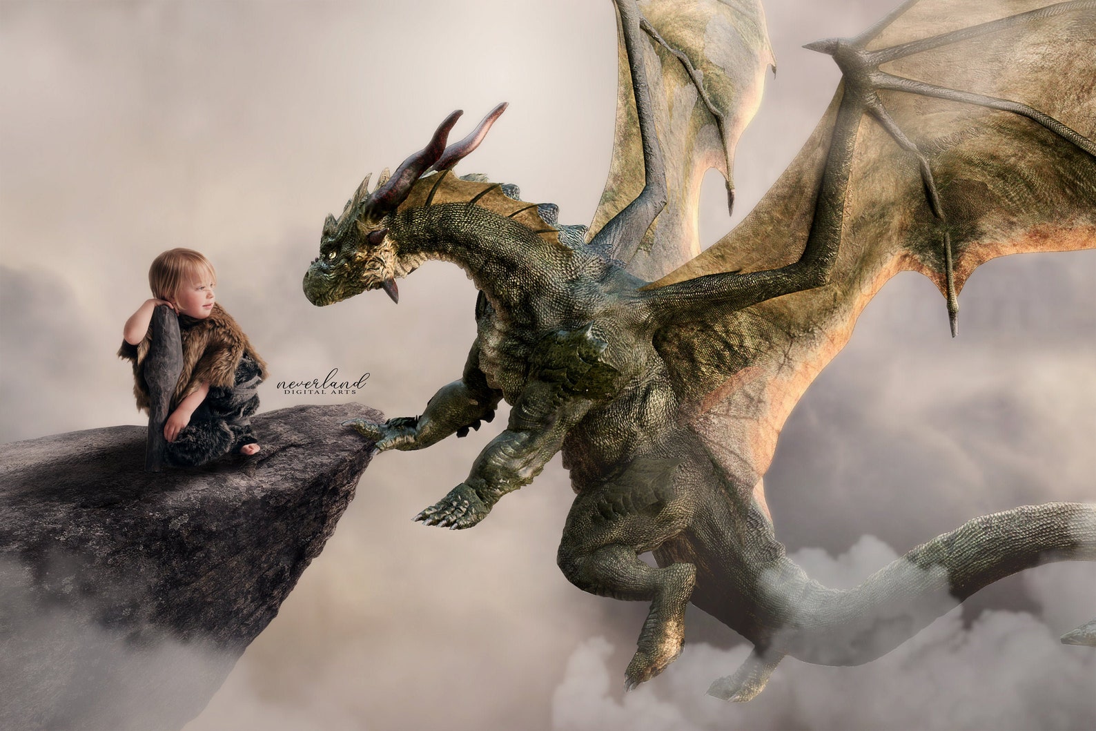 Curious Dragon Digital Background for Photography Composites / - Etsy