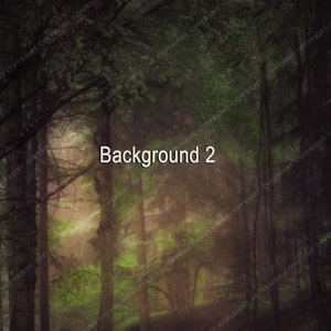 4 Pack Backdrop Background / Digital Backgrounds for Photographers ...