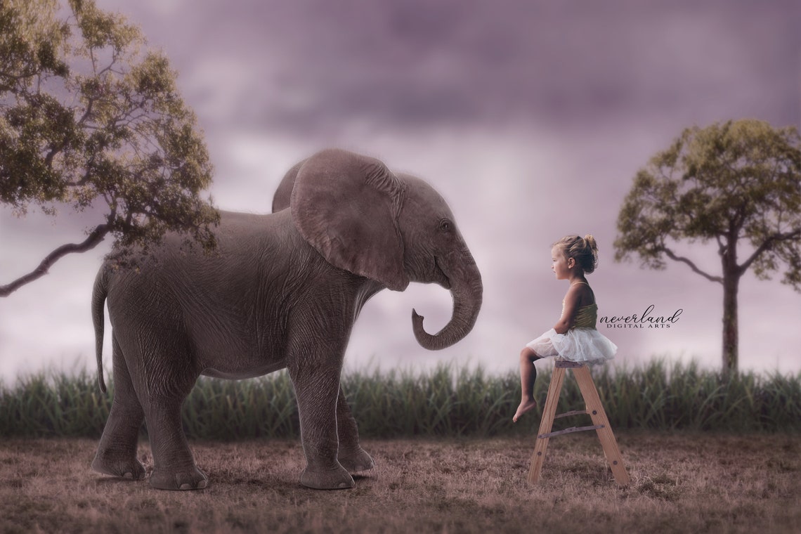 Baby Elephant Friend Backdrop Background / Digital Background - Etsy