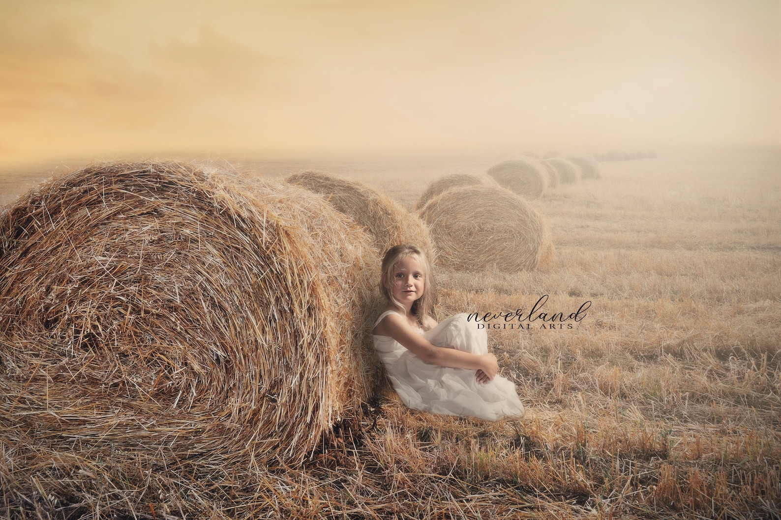 5-PACK Summer Fields Background / Photography Background / - Etsy