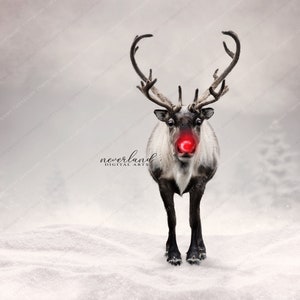 2 PACK Rudolph Background for Photography Composites / Christmas ...
