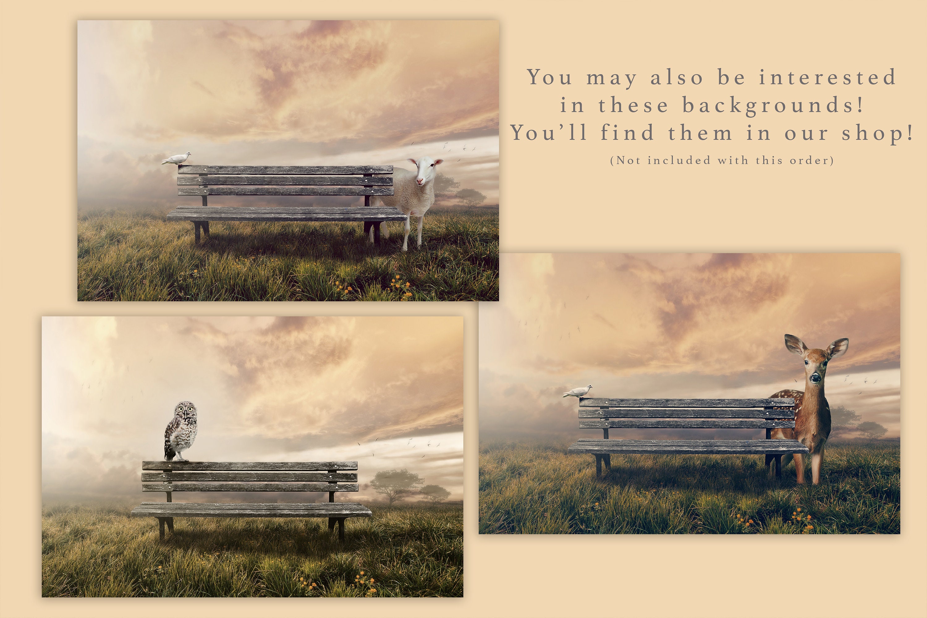 Magical Field Background / Digital Background for - Etsy