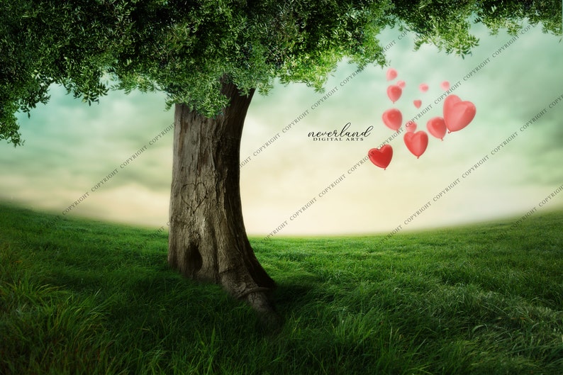 2 PACK Composite Digital Background / Backgrounds & Overlays for for ...