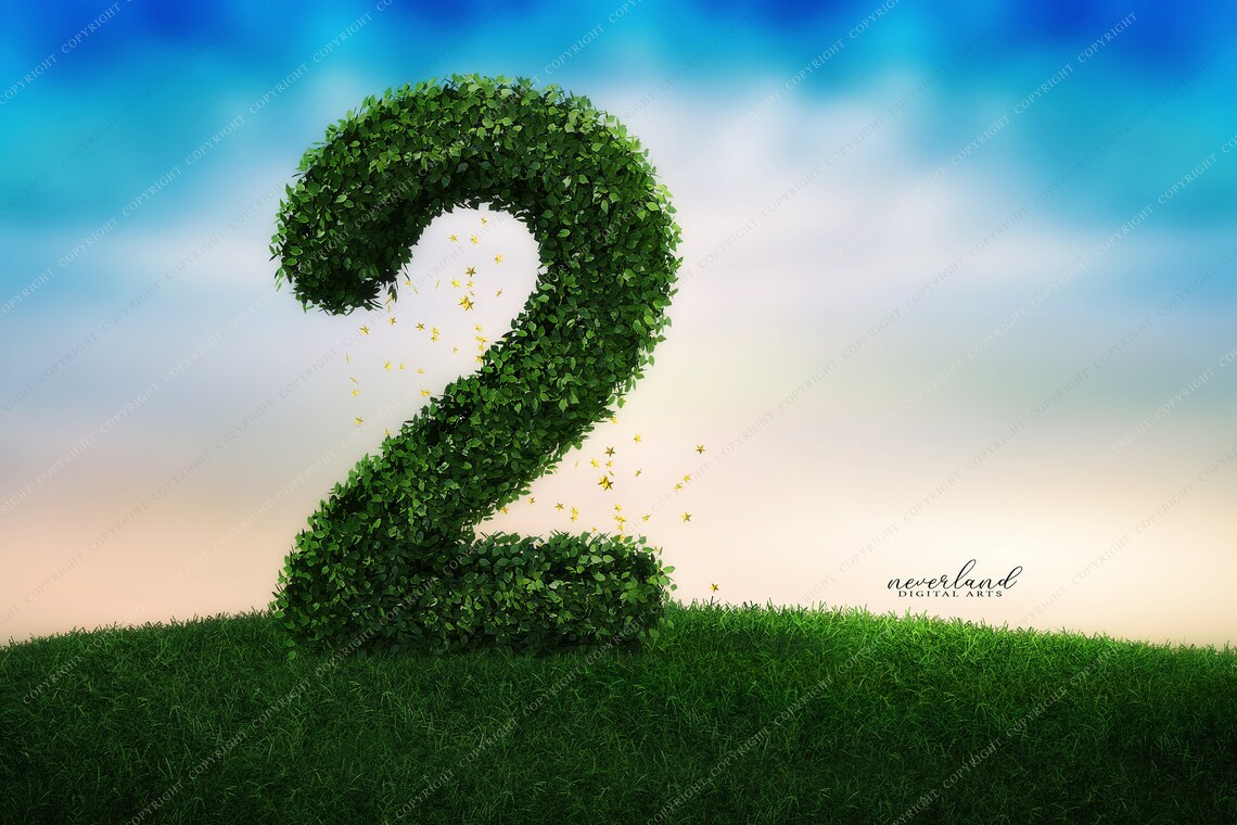 2nd Birthday Background for Photography Compositions / Digital - Etsy