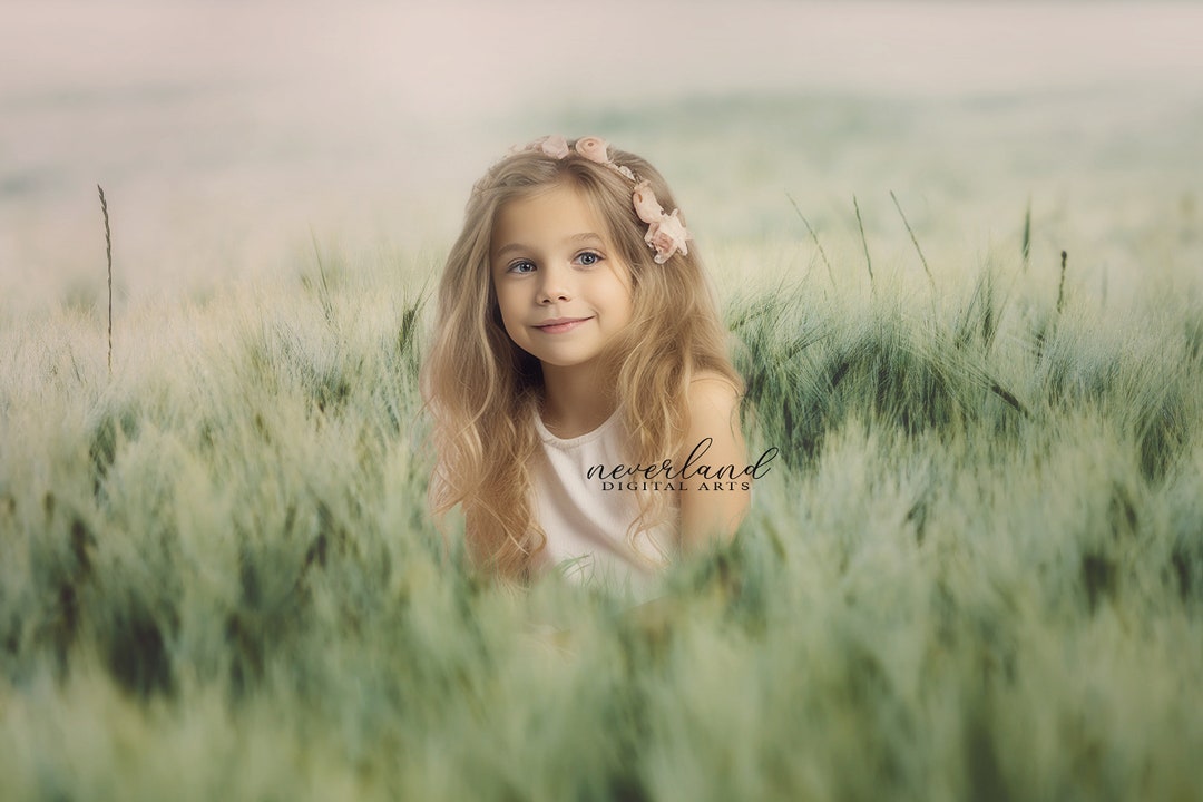 Soft Barley Field - Faded Bloom / Muted Photography Compositions / Digital Backdrops for ...